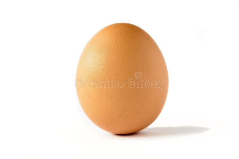 Close Up of a Egg Isolated on White. Stock Photo - Image of farm, brown ...