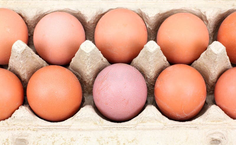 Close up of an eggs stock image. Image of eggshell, ingredient - 47462161