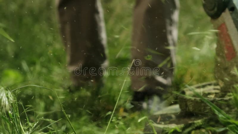 Close-up of Electric Trimmer Cutting Grass in Slow Motion. Dynamic ...