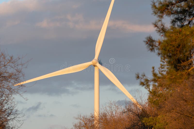 Close-up of an Electricity Wind Turbine Surrounded by Trees Stock Photo ...