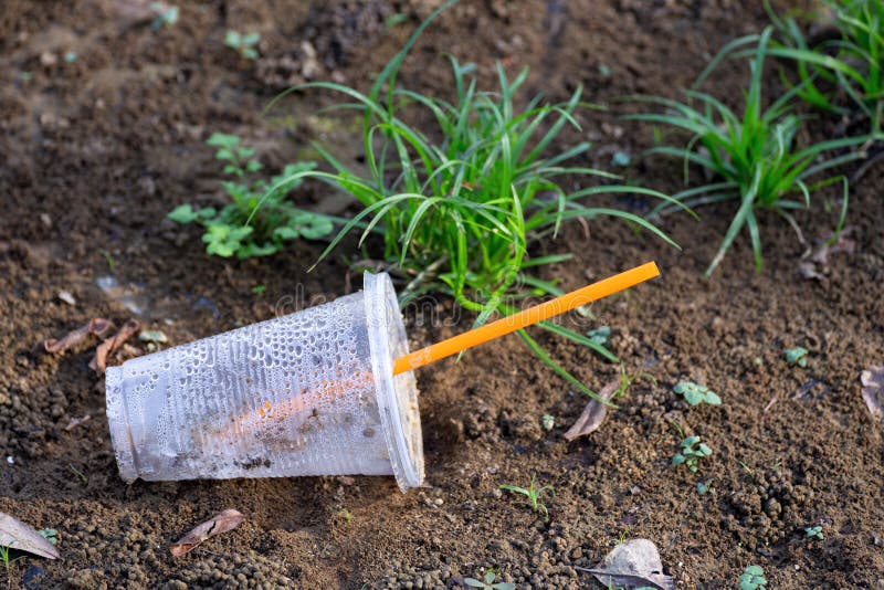 Close Up of Empty Plastic Cup on the Grass Ground. Plastic Waste ...