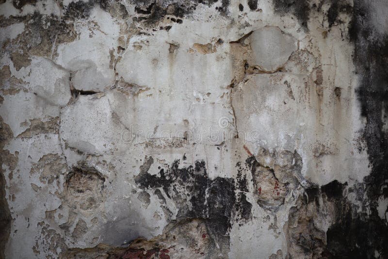 Wall decay texture stock image. Image of peeled, dirty - 4461395