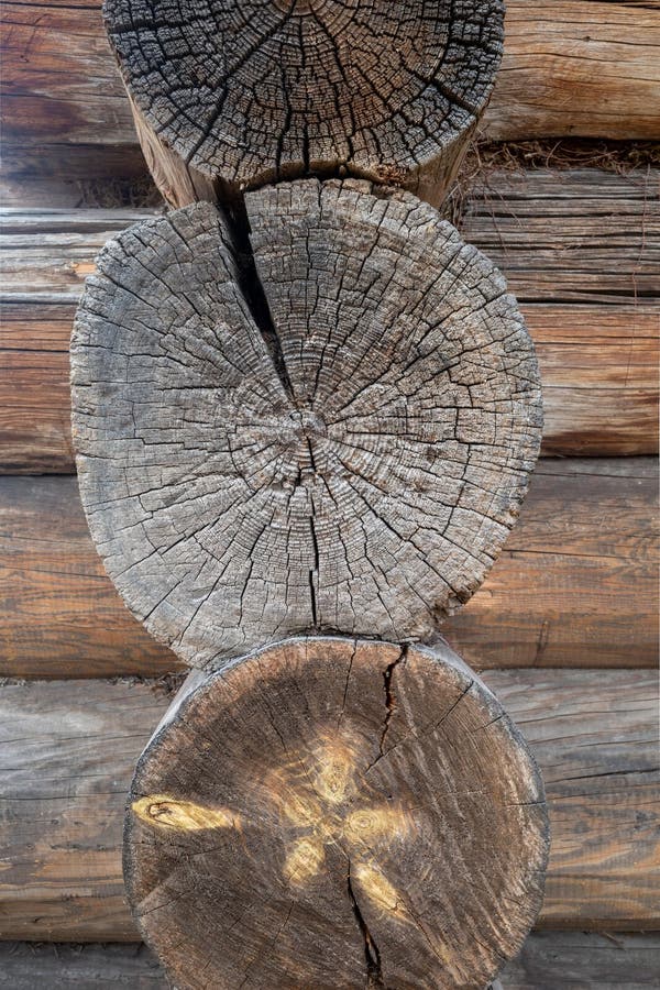 Close-up of End of an Old Logs in a Wooden Building Structure of Wall ...