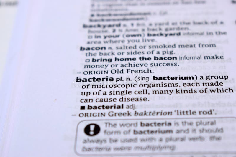 Close Up of English Dictionary Page with Definition Word -Bacteria ...
