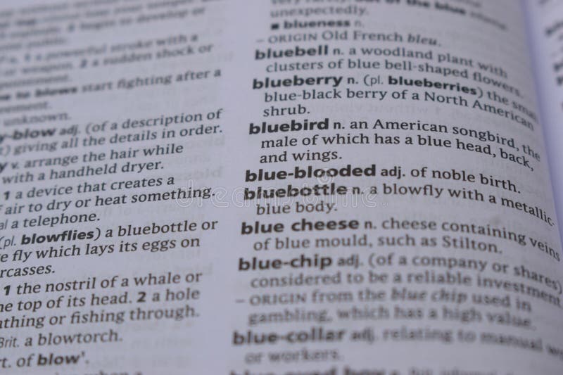 Close Up of English Dictionary Page with Definition Word -Blue-Blooded ...