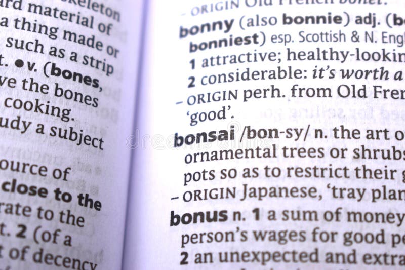 Close Up of English Dictionary Page with Word - Bonsai Stock ...