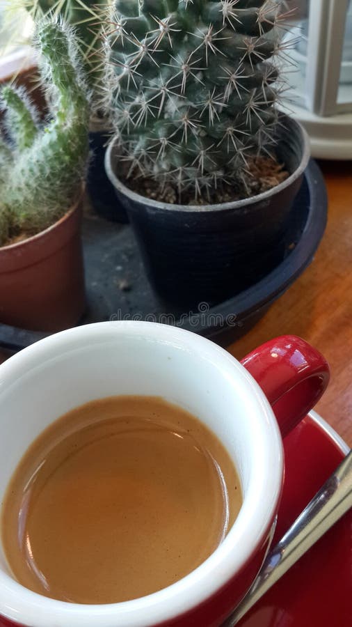 Close Up Espresso Coffee in Red Cup among the Mini Cactus Stock Photo ...