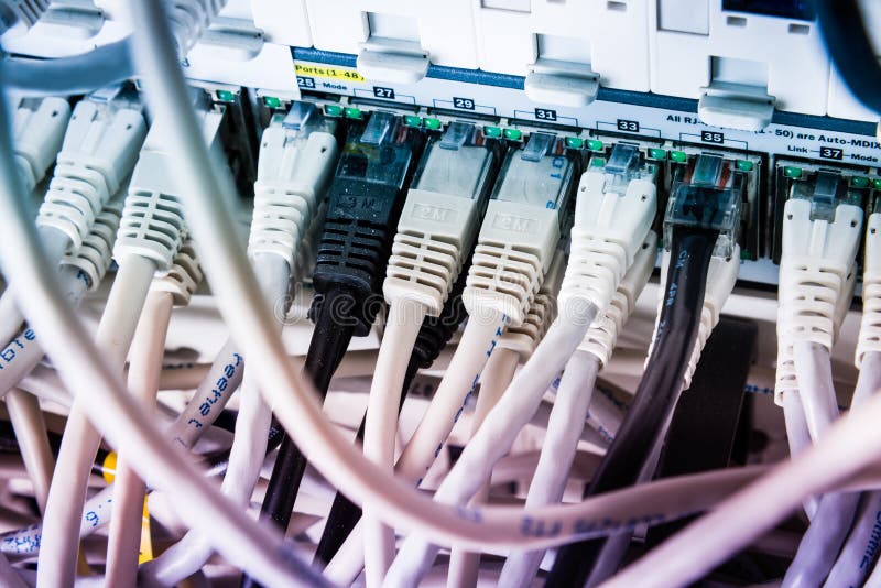 Close-up of Ethernet Cables and Switch Stock Image - Image of ...