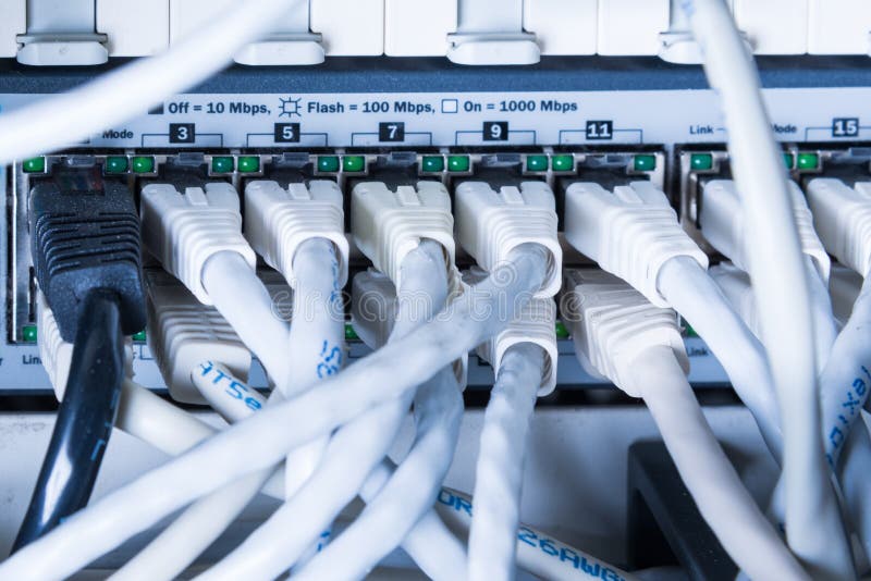 Close-up of Ethernet Cables and Switch Stock Photo - Image of port ...
