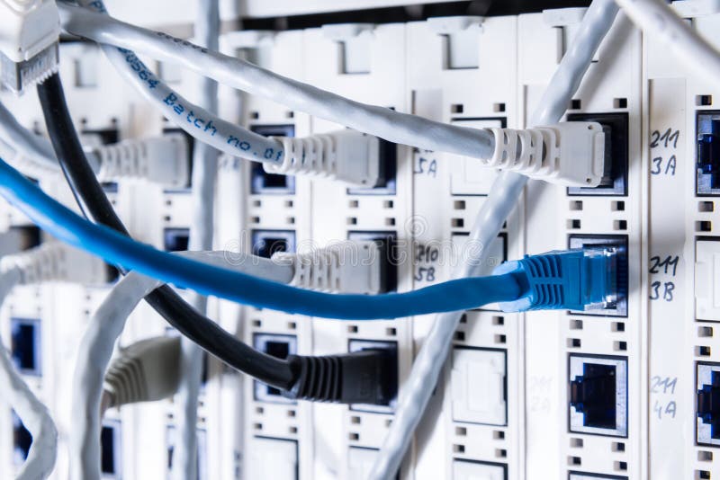 Close-up of Ethernet Cables and Switch Stock Image - Image of data ...