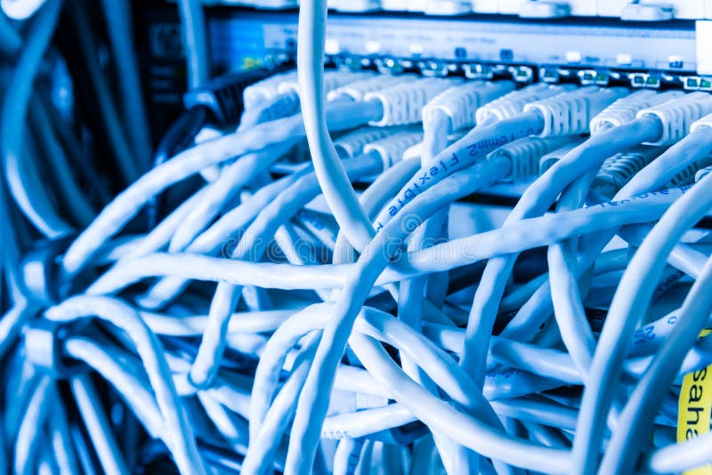 Close-up of Ethernet Cables and Switch Stock Photo - Image of link ...