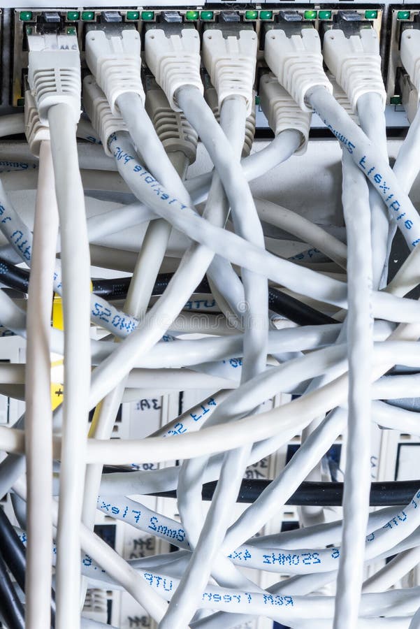 Close-up of Ethernet Cables and Switch Stock Image - Image of digital ...