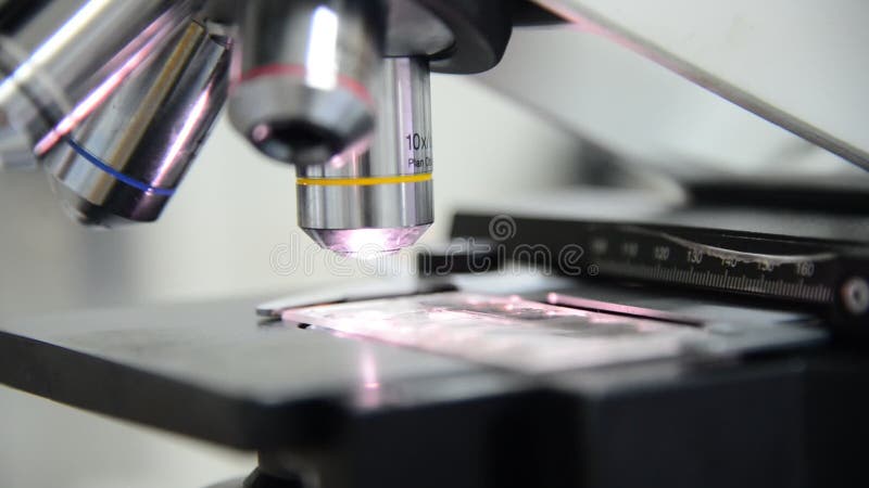 Close Up of Examining of Test Sample of Microchip Transistor Under the ...