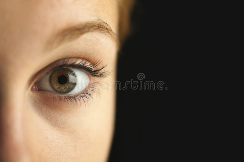 Close-up of eye stock image. Image of attractive, beautiful - 16895969