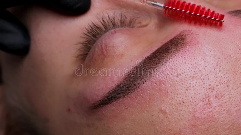 Close-up of Eyebrows Immediately after Eyebrow Tattooing Procedure ...