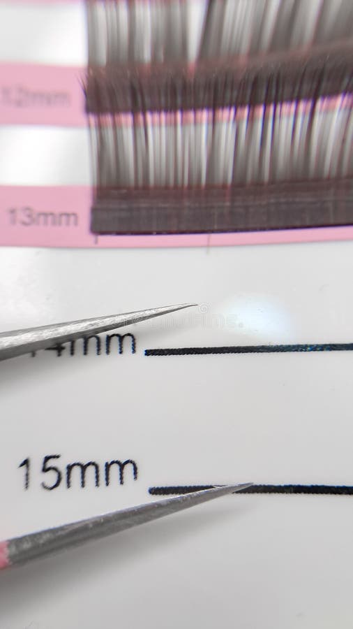 Close Up of Eyelash Extensions Fans for Professional Lash Artists ...