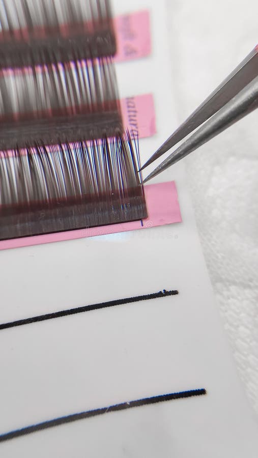 Close Up of Eyelash Extensions Fans for Professional Lash Artists ...