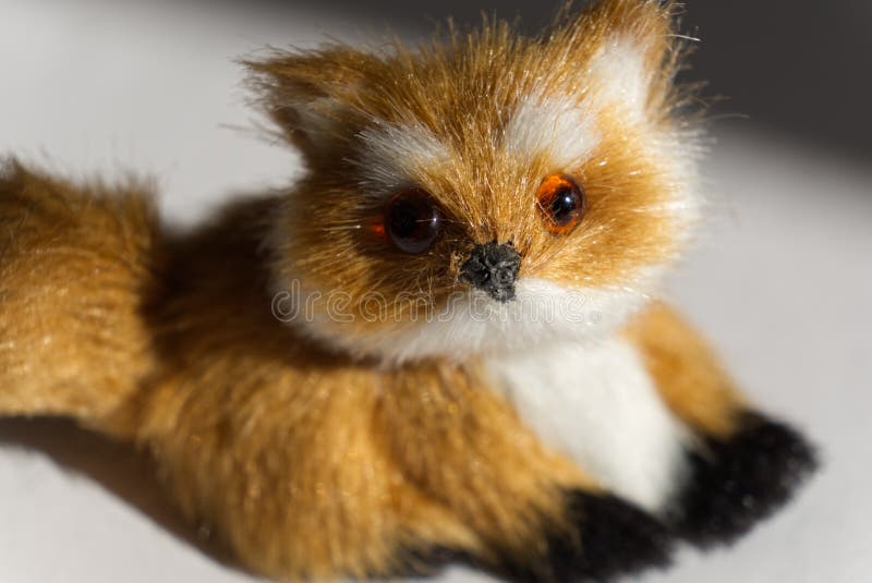 Close-up of the Eyes of a Puppet Fox Looking into Camera Stock Image ...