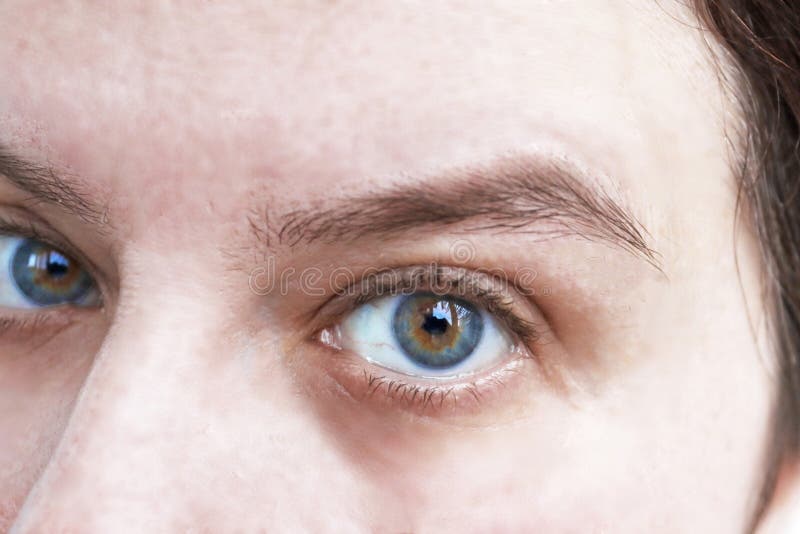 Close-up of the Eyes. Surprised Look, Raised Eyebrow Stock Photo ...
