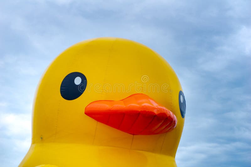 Close Up of the Face of the Floating Yellow Rubber Ducks Balloon Stock ...