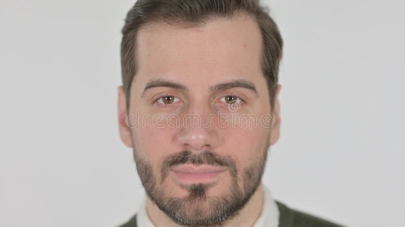 Close Up of Face of Man Looking at the Camera, White Screen Stock Photo ...