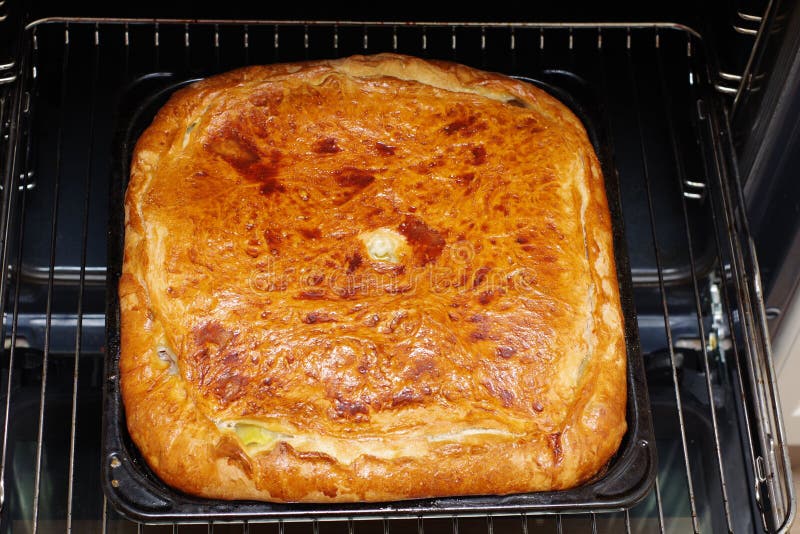 Close Up of Failed Meat Pie in the Oven. Textured Burnt Pie Crust ...