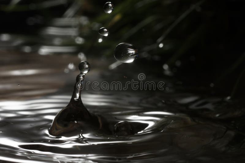 Close-up of a Falling Rain Drop Stock Photo - Image of perfection ...