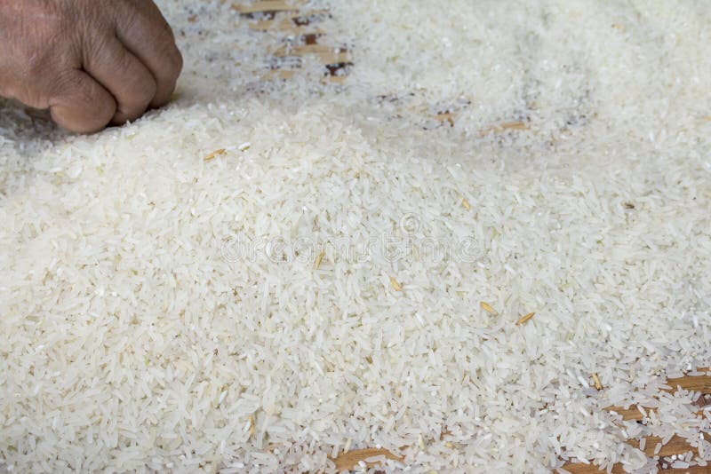 Close up of rice process. stock photo. Image of gourmet - 190962854