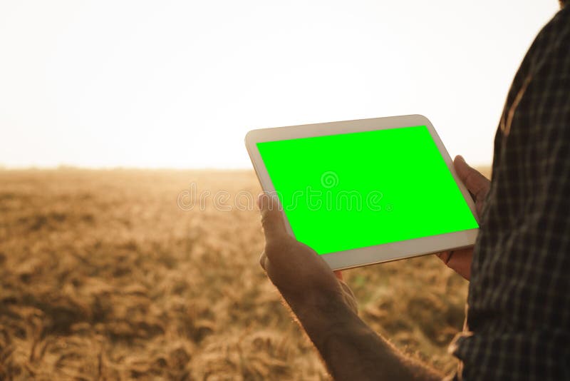 Close Up of Farmer& X27;s Hands Holding Tablet with Green Screen in ...