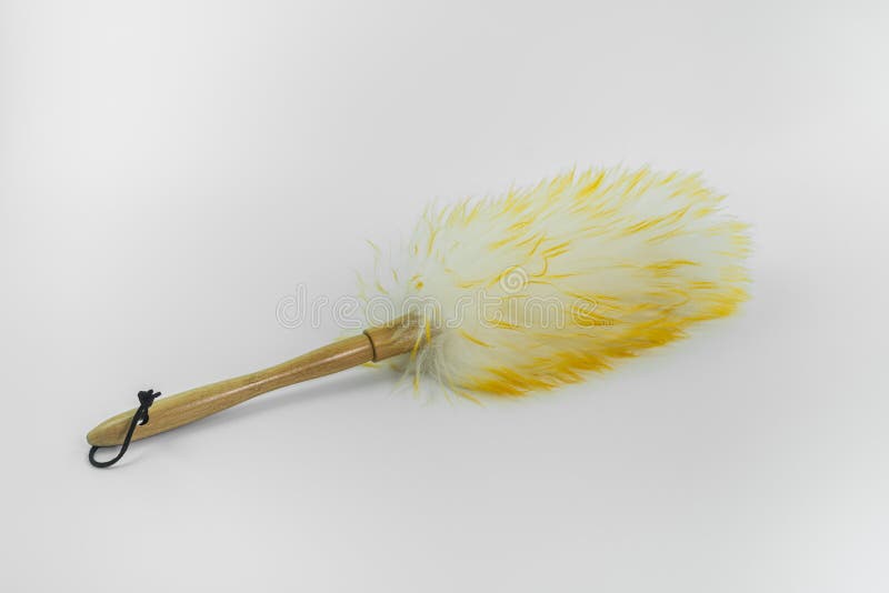 Close Up of Feather Duster Isolated on White Background Stock Photo ...