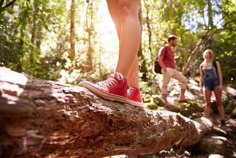 Close Up of Feet Balancing on Tree Trunk in Forest Stock Image - Image ...