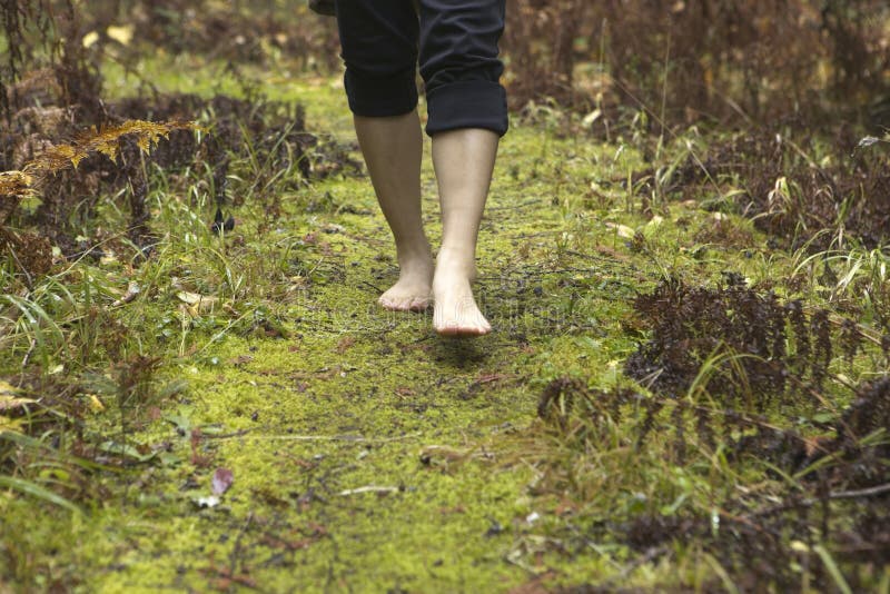 Barefooted on Top of a Fallen Tree Stock Image - Image of health ...