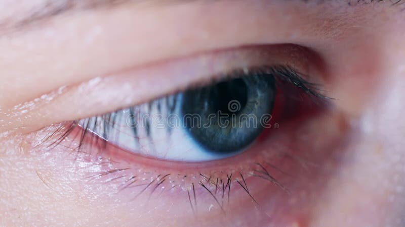 Close Up of a Female Blinking Eye Stock Footage - Video of organ ...