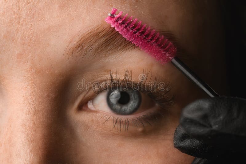 Close-up of Female Eye and Eyebrows Which Combs with Brush. Stock Photo ...