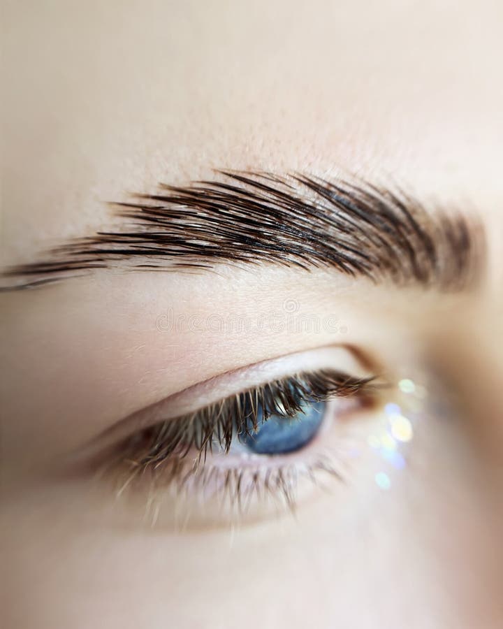 Close-up Female Eyebrow after Lamination Stock Image - Image of ...