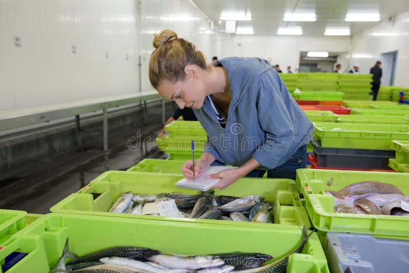Close Up Female Fish Bidder Stock Image - Image of delicious, display ...
