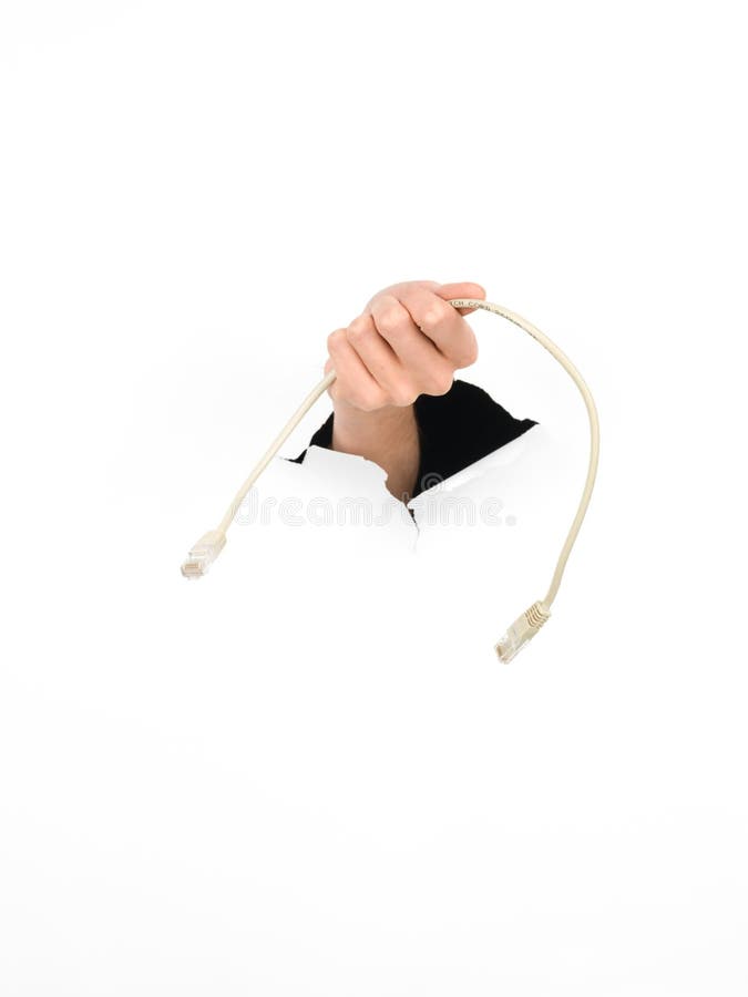 Female Hand Holding a Network Cable Stock Photo - Image of laptop ...