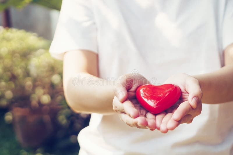 Close Up Female Hands Giving Red Heart on Hands Stock Image - Image of ...