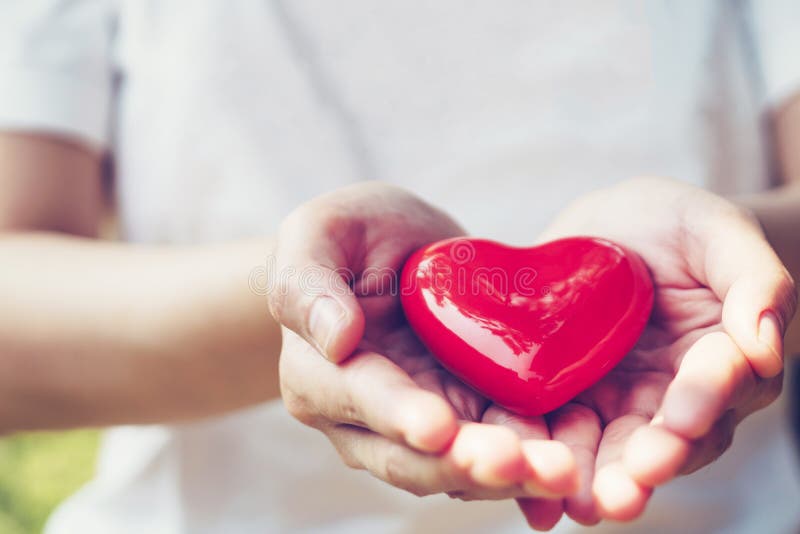 Close Up Female Hands Giving Red Heart on Hands Stock Image - Image of ...