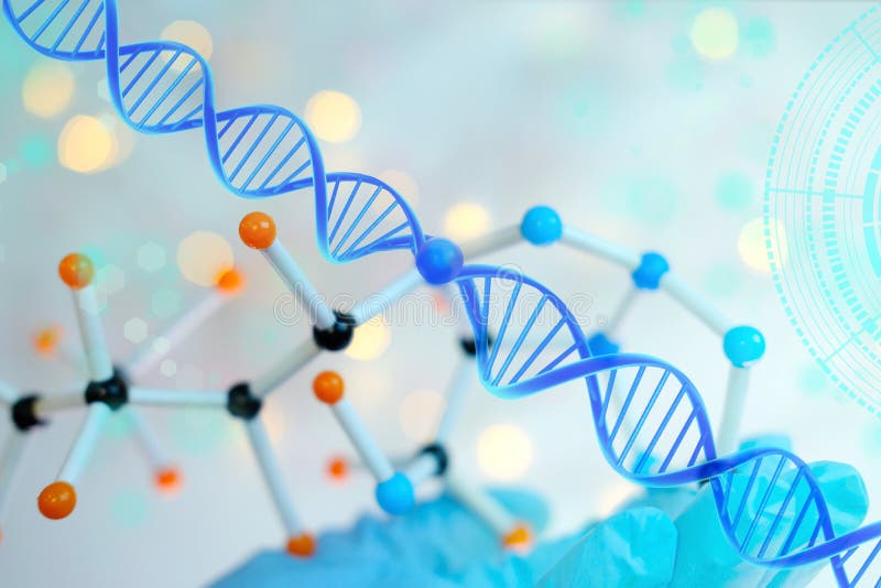 Close-up of Female Scientist`s Hands Holding Model of Molecular ...
