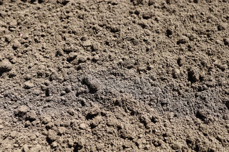 A Close-up of Fertile Arable Land. Black Soil. Texture. Stock Image ...