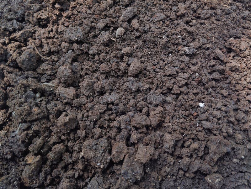 Close Up of Fertile Arable Land, Black Soil Texture Background Stock ...