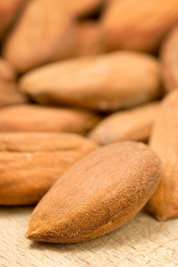Close up of a few almonds stock image. Image of brown - 1828645