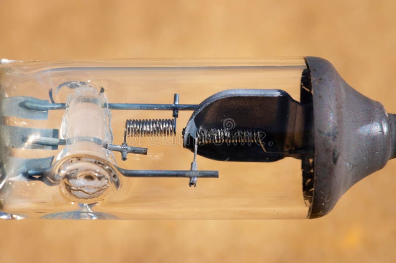 Close-up of Filament H4 Halogen Car Bulb. Stock Photo - Image of ...