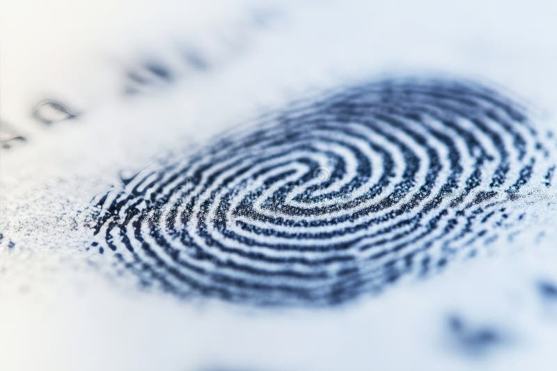 Close-up of Fingerprint Detail, Security and Identification Concept, Forensic Science Stock ...