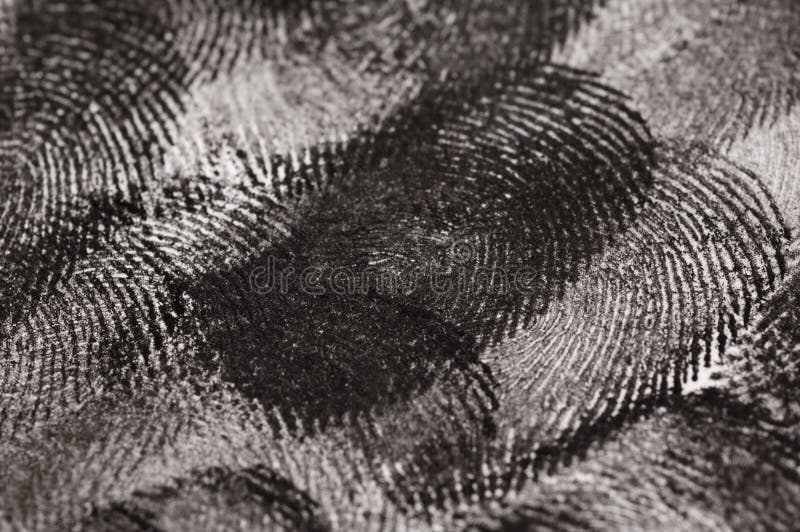 Fingerprints stock image. Image of finger, magnification - 27404985