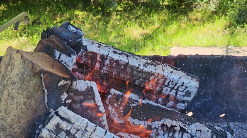 Close Up Fire Burning with Smoldering Log. Flames with Ember. Stock ...