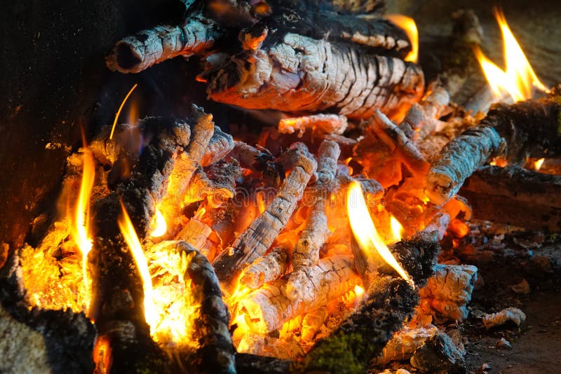 Close-up of a Fire with Firewood. Stock Photo - Image of bonfire, flame ...