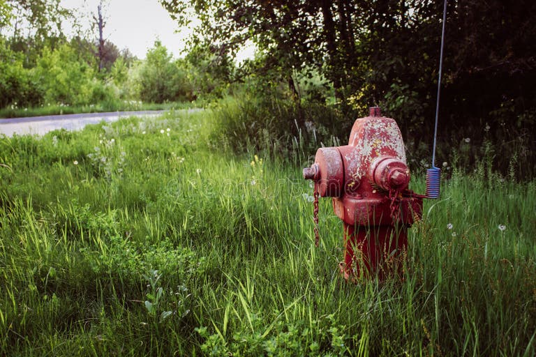 Close-up of a Fire Hydrant in Tall Grass. Rural Setting Water Supply ...