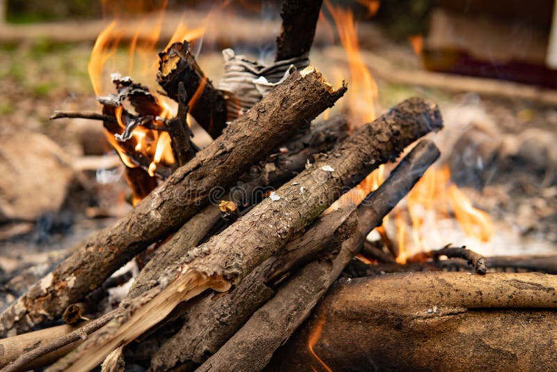 Close-up of Fire Outdoor. Blurred Background. Stock Photo - Image of ...